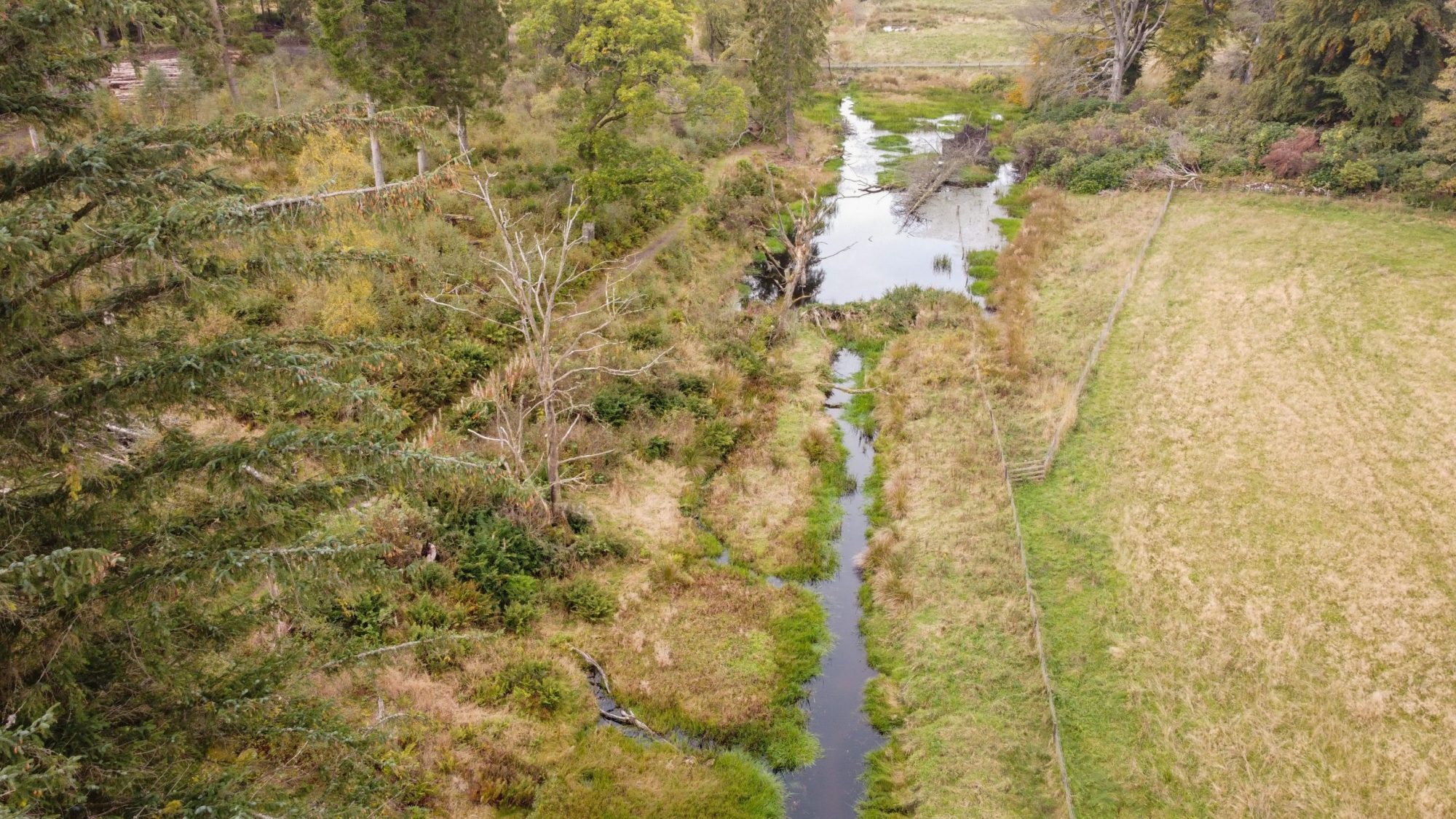 Braes of Alyth
