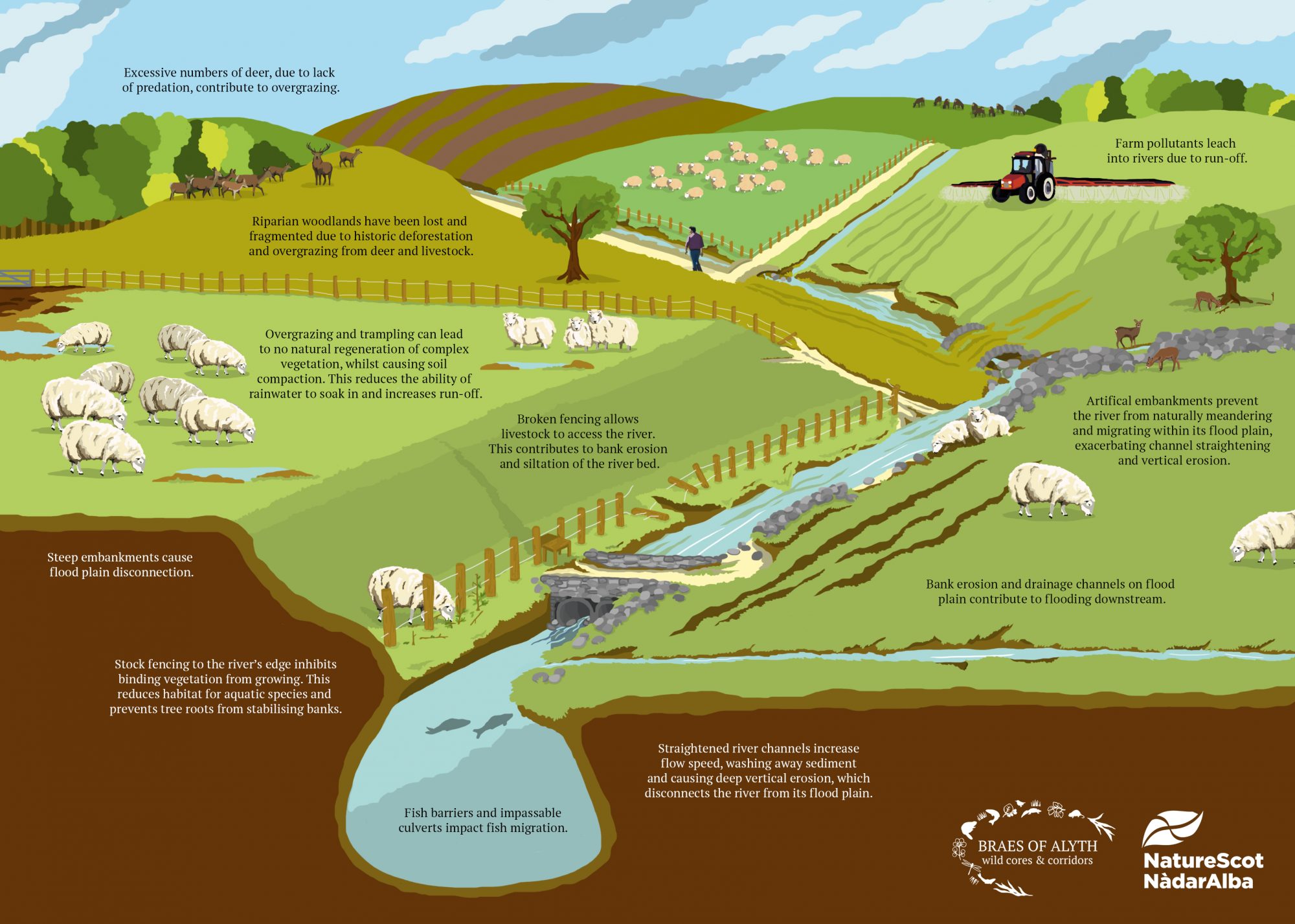 Before & After – Braes of Alyth
